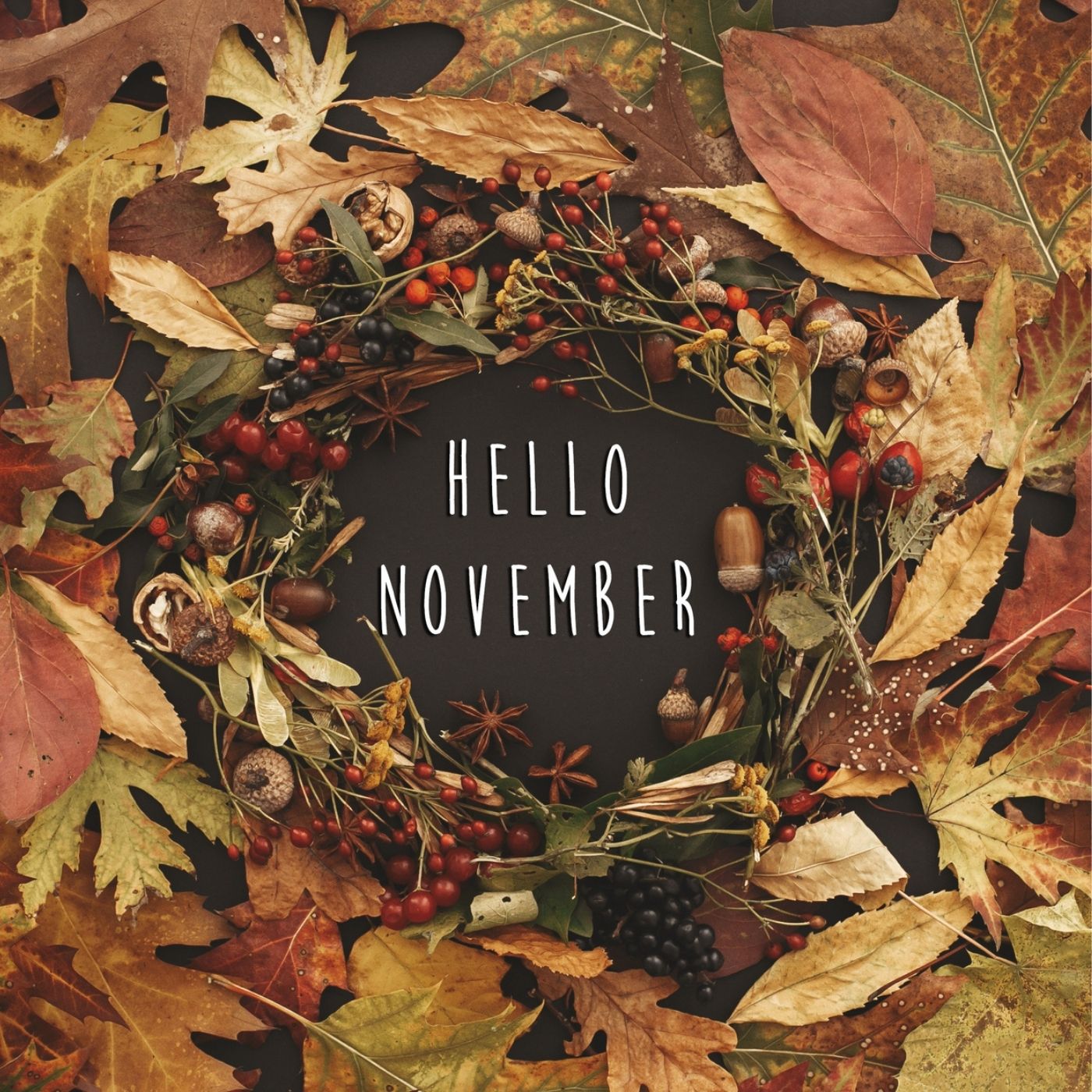 A Little History About November 14th – Valerie Green